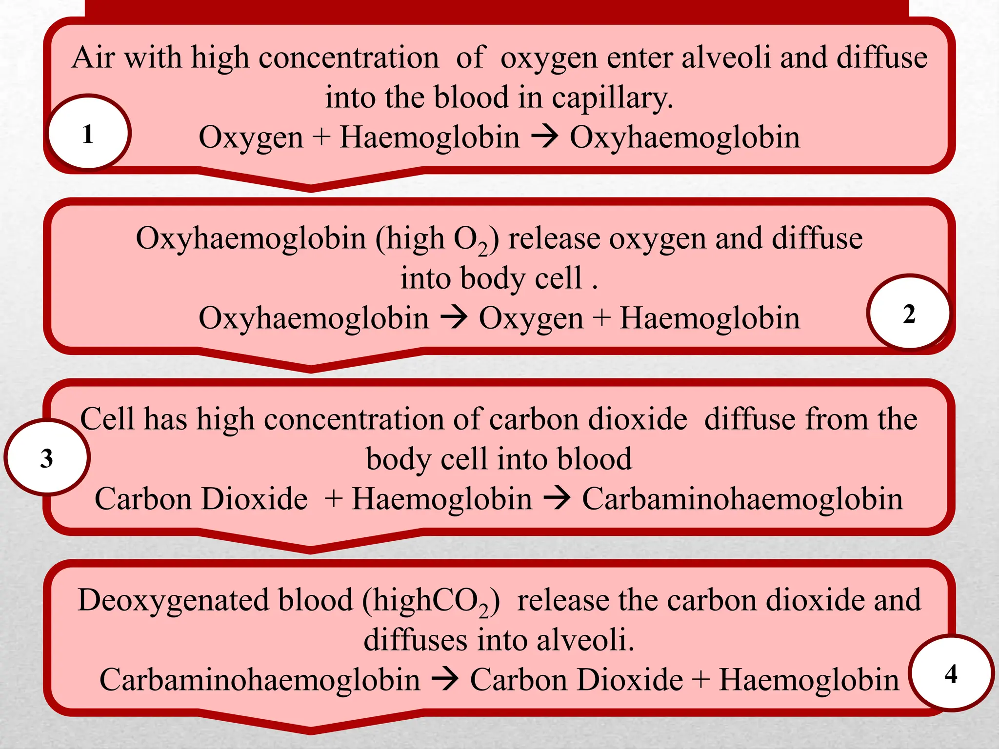 100285558-Respiration form 3 Science KSSM.ppt