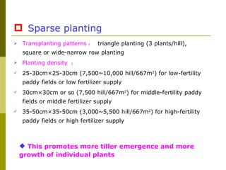 1003 Study and Utilization of the SRI Technology | PPT