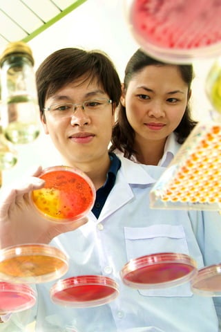 Corporate portfolio of Studio MadsMonsen | PDF