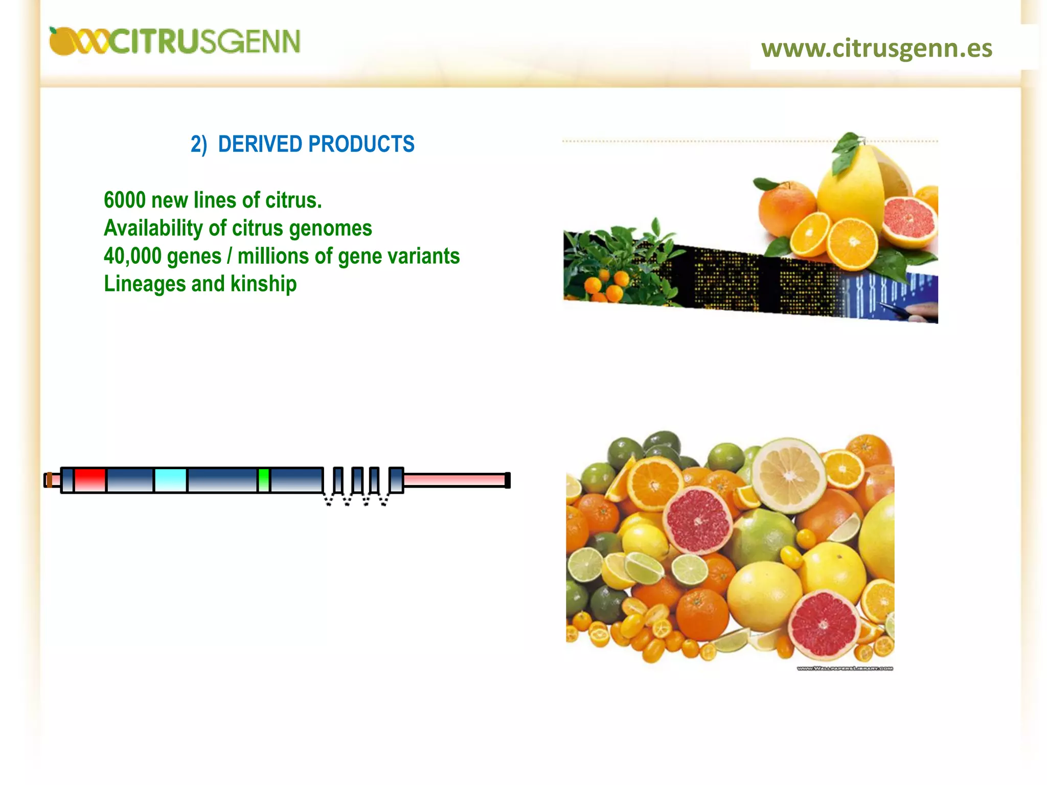 Manuel Talon / Citriculture innovations in the post-genomic era | PDF ...