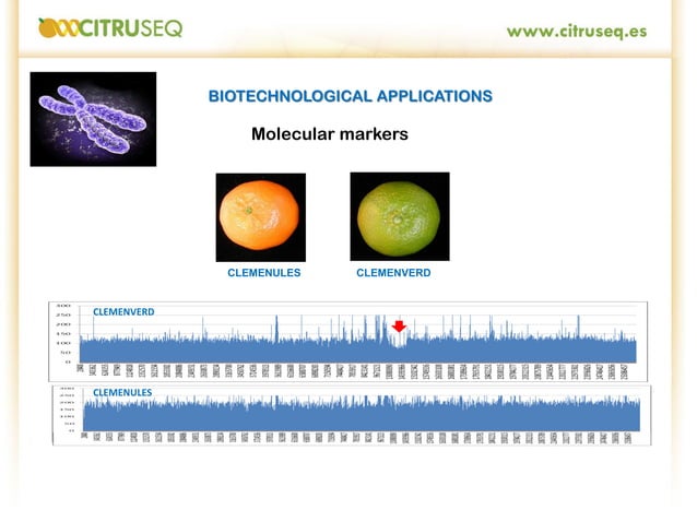 Manuel Talon / Citriculture innovations in the post-genomic era | PDF ...
