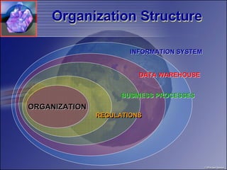 University Management Information System | PDF