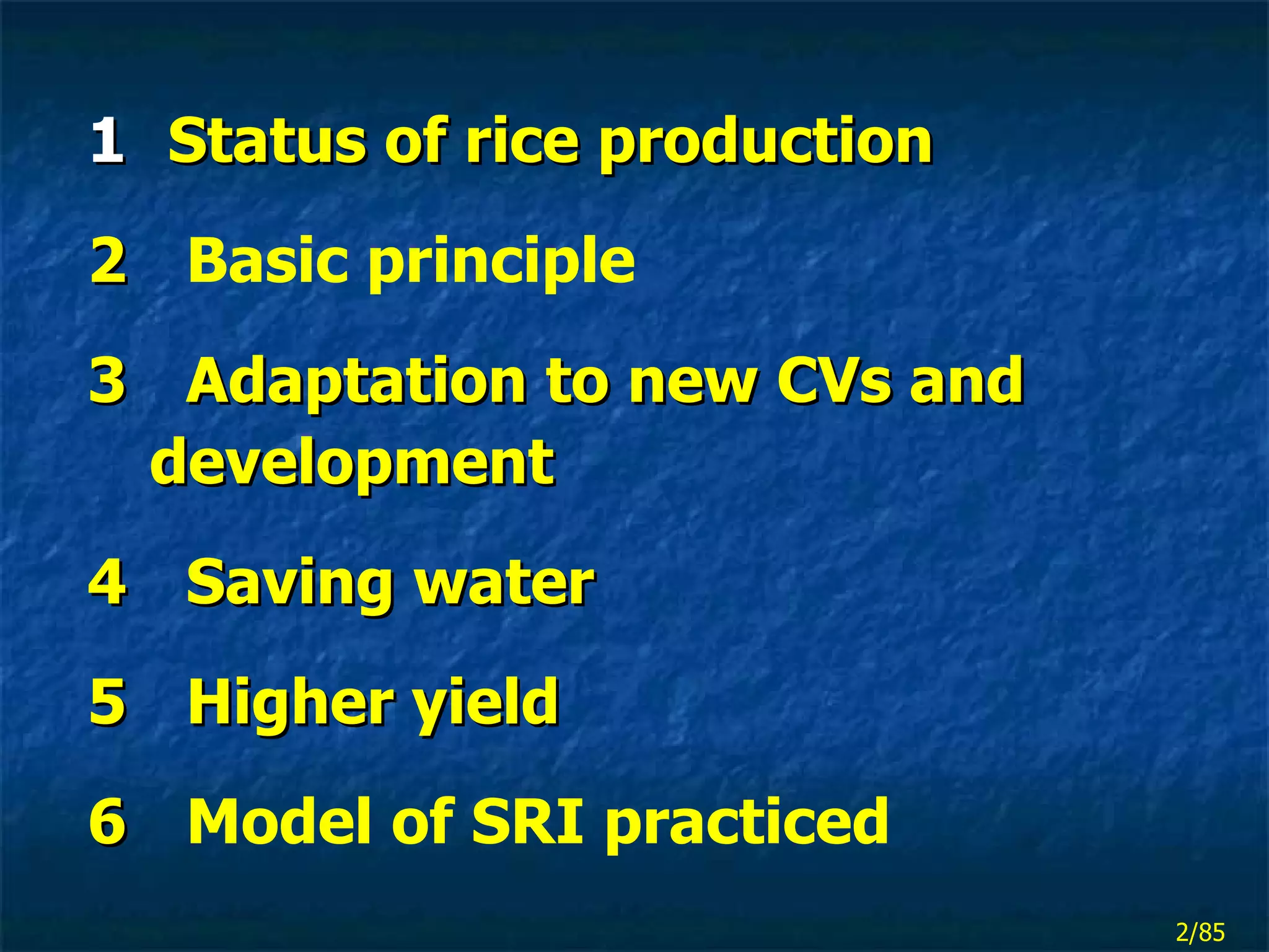 1005 The System of Rice Intensification | PPT | Agriculture | Industries