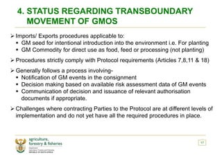 GMO pros and cons and future perspectives | PPT