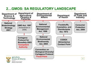 GMO pros and cons and future perspectives | PPT