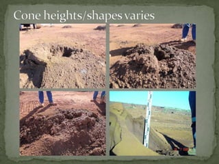 100510 mpm blasthole_sampling_experiments | PPTX