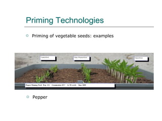 100515 presentation seed support methods | PPT