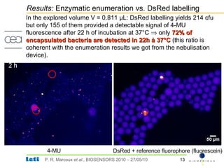 Random micro-confinement of bacteria into picolitre emulsion droplets ...