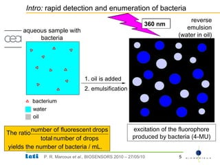 Random micro-confinement of bacteria into picolitre emulsion droplets for rapid detection and ...