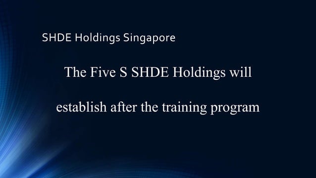 shde-holdings2017 | PPT