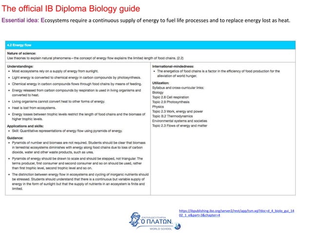Topic 4.2. Energy flow | PPT