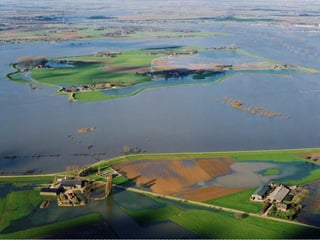 Dutch Flood Defence Presentation | PDF