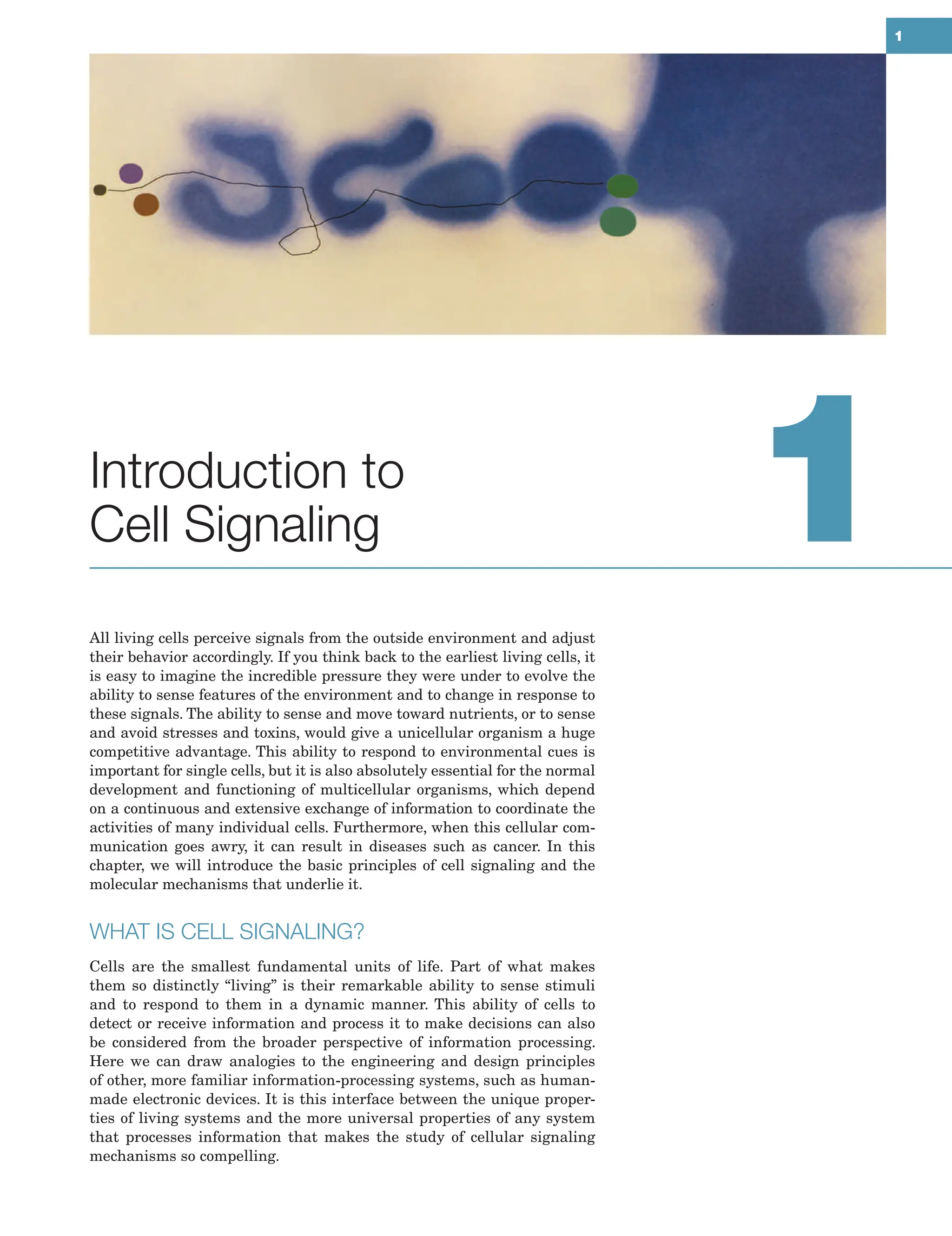 (eBook PDF) Cell Signaling: principles and mechanisms | PDF