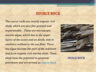PETROLEUM SYSTEM FINAL | PPTX