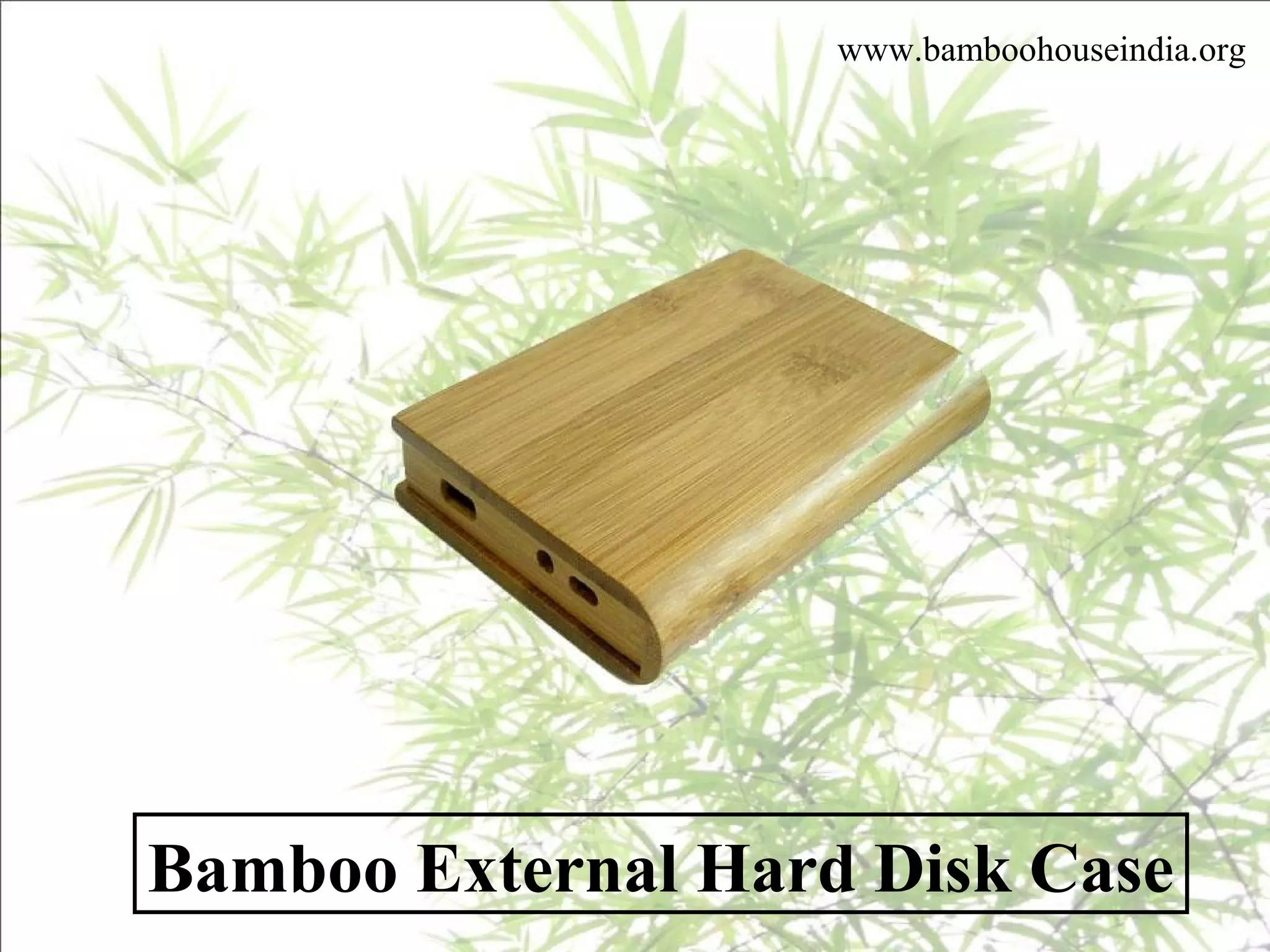 100 bamboo applications | PPT