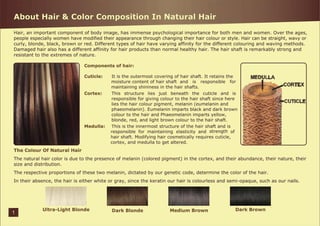 Buy Botanical Hair Colour | Organic Hair Dye - Indus Valley | PDF
