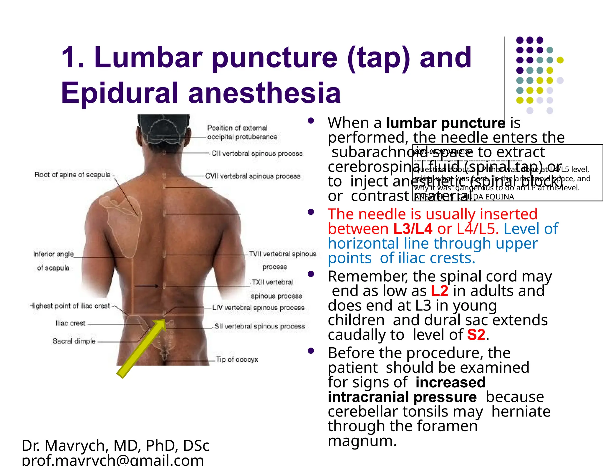 100 Concepts for Anatomy Shelf Exam or USMLE Step Exams.pptx