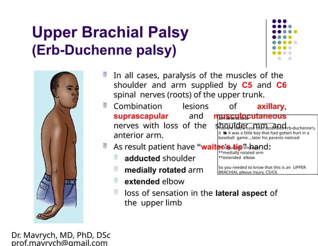 100 Concepts for Anatomy Shelf Exam or USMLE Step Exams.pptx