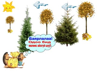 100 dotor nemeh hasah | PPTX