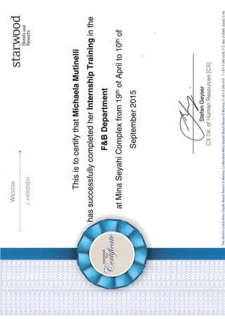 Internship reference and certificate | PDF