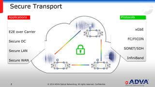 100G Metro Encryption | PPT