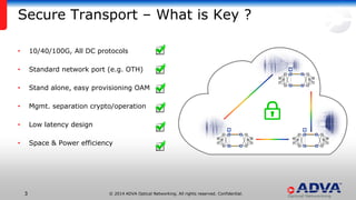 100G Metro Encryption | PPT