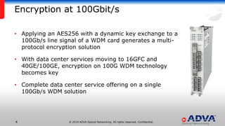 100G Metro Encryption | PPT