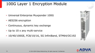 100G Metro Encryption | PPT