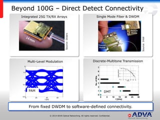 100G - What Comes Next | PPT