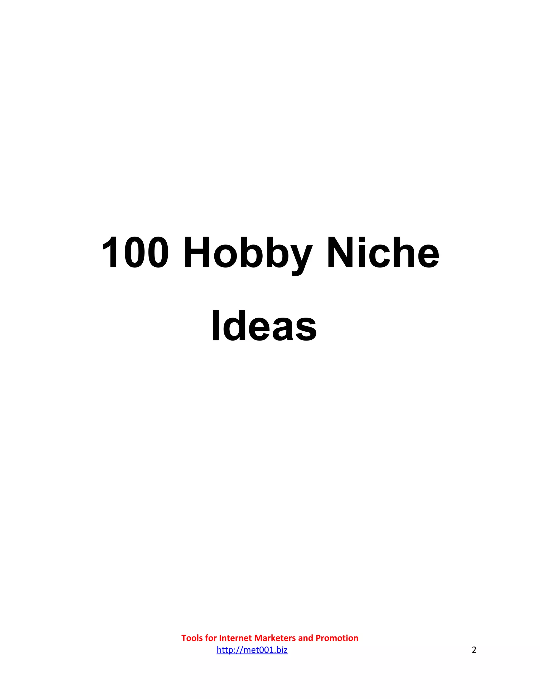 100 Hobby Niche Ideas | PDF