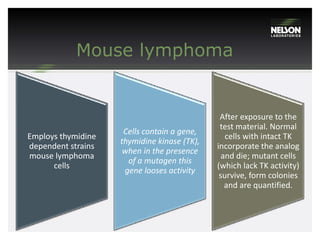 The Future of 10993 | PPT