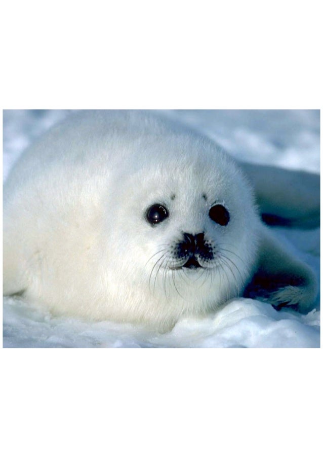 100 Things That Are Round