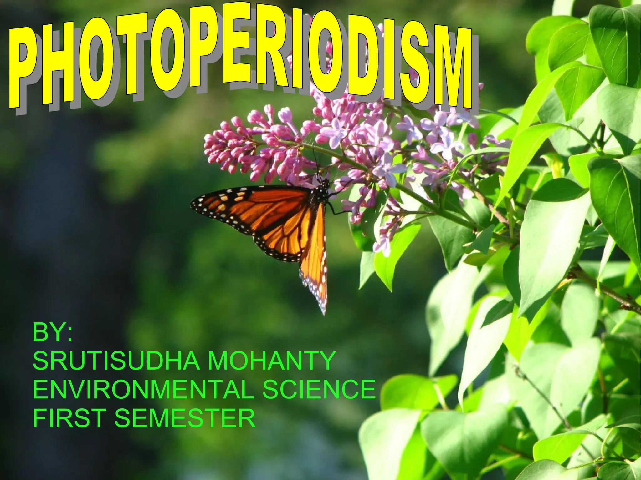 Photoperiodism | PPT