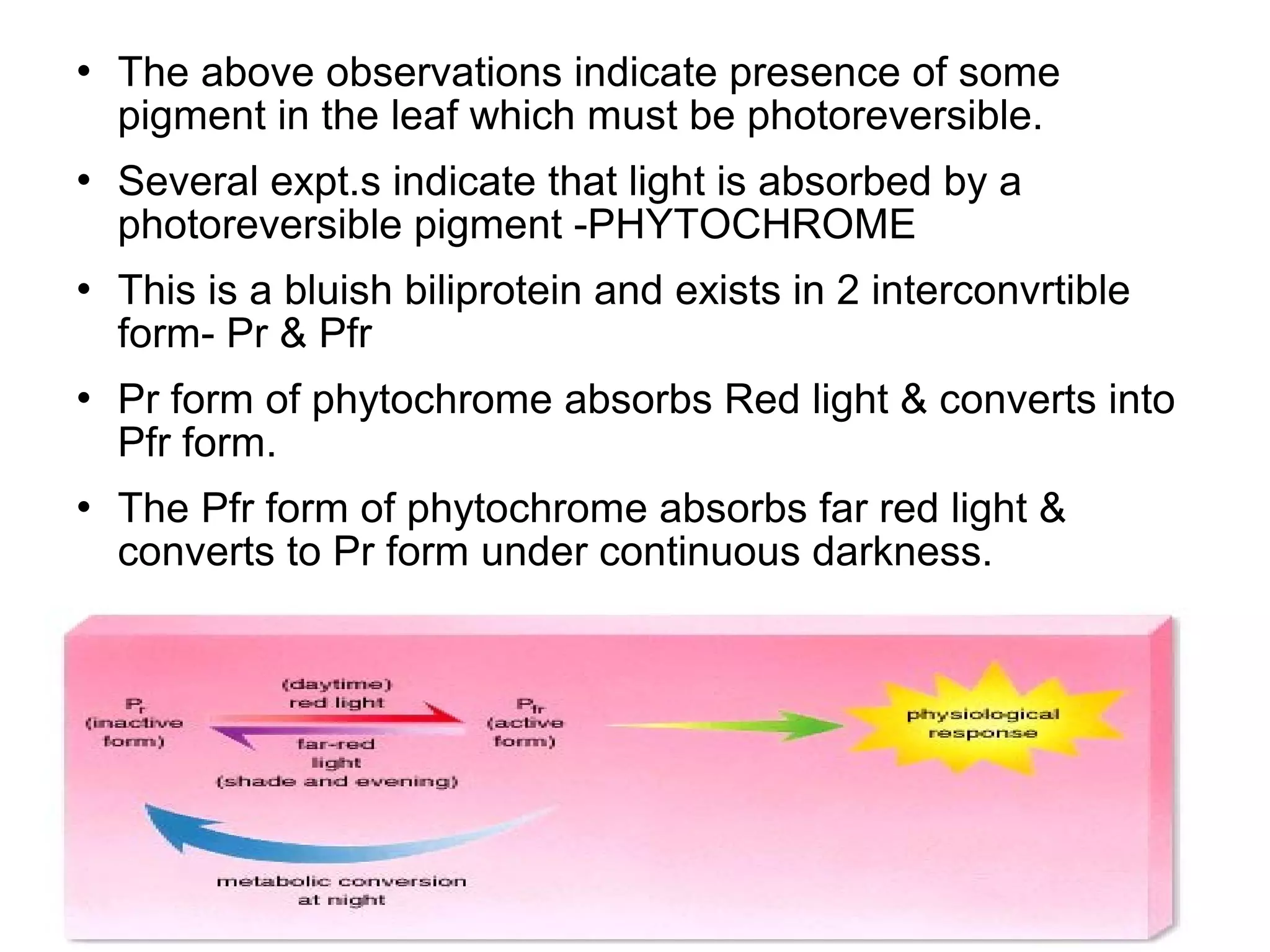 Photoperiodism | PPT