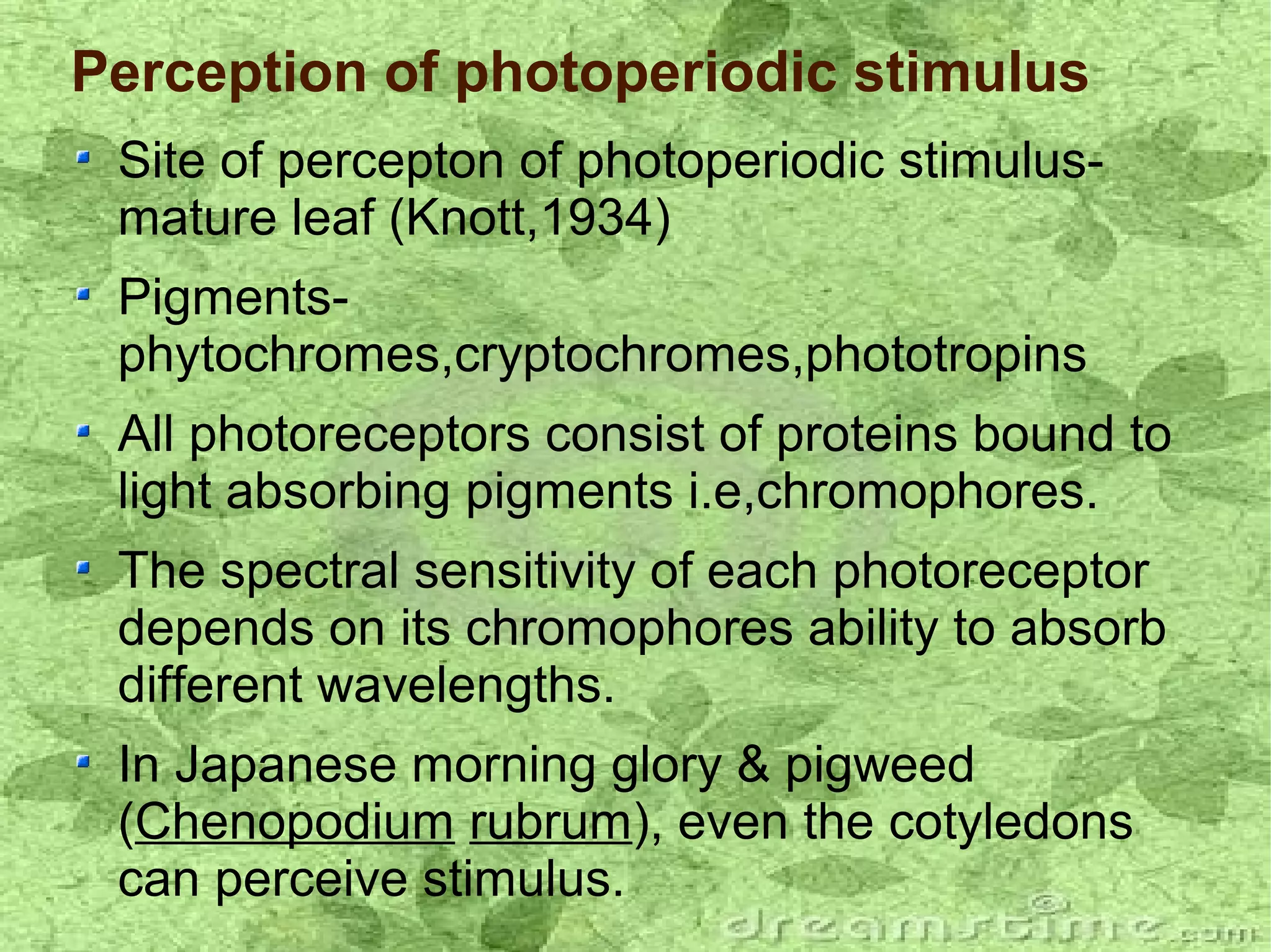 Photoperiodism | PPT