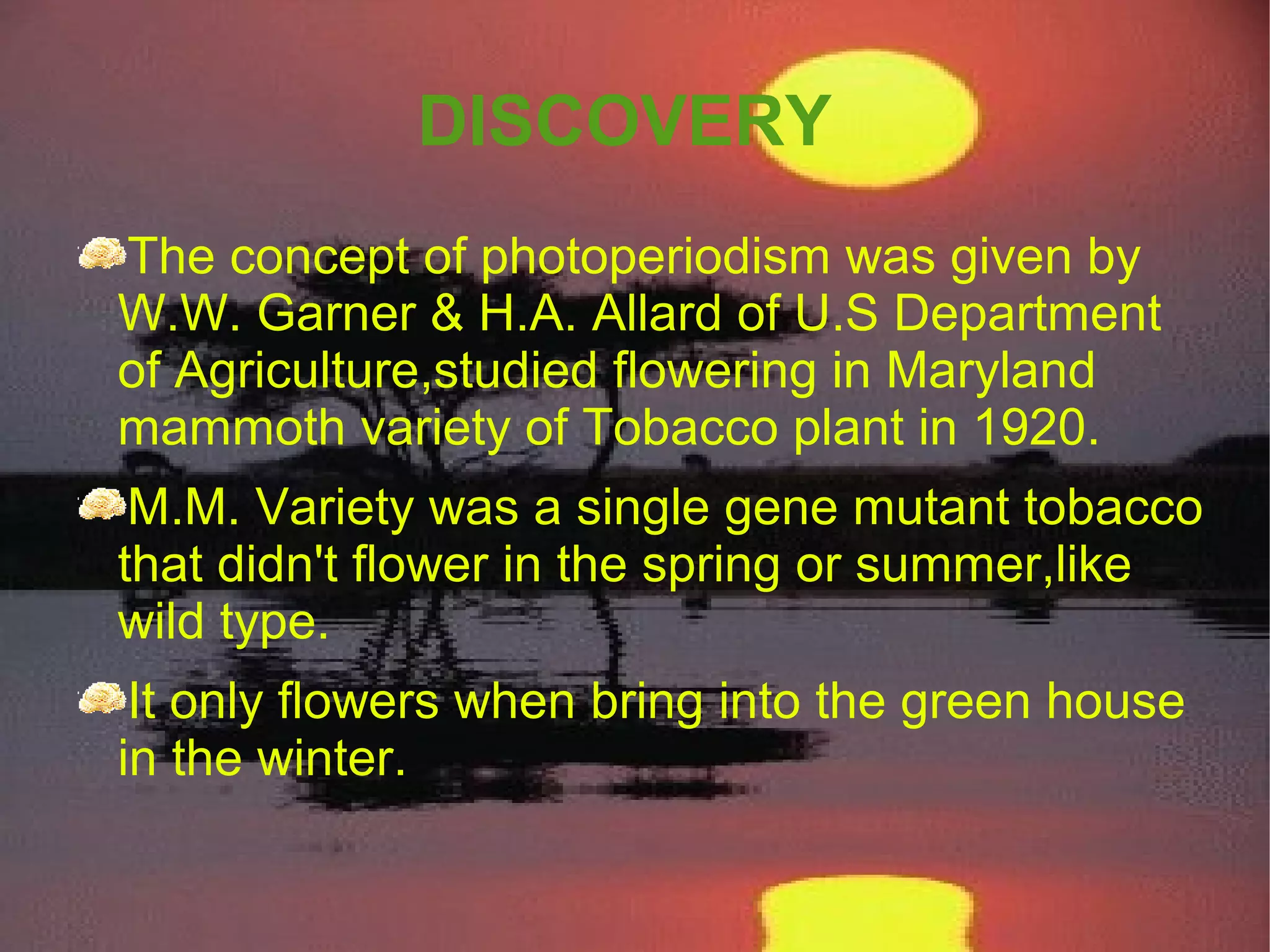 Photoperiodism | PPT