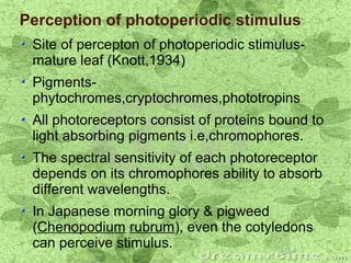 Photoperiodism | PPT