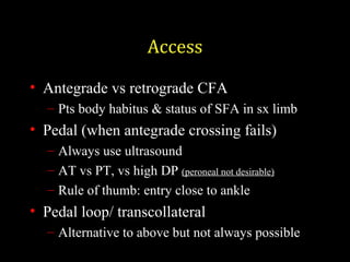 BELOW KNEE INTERVENTIONS | PPT
