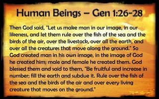 101010 ot vistas 02 in the image of god genesis 1 | PPTX