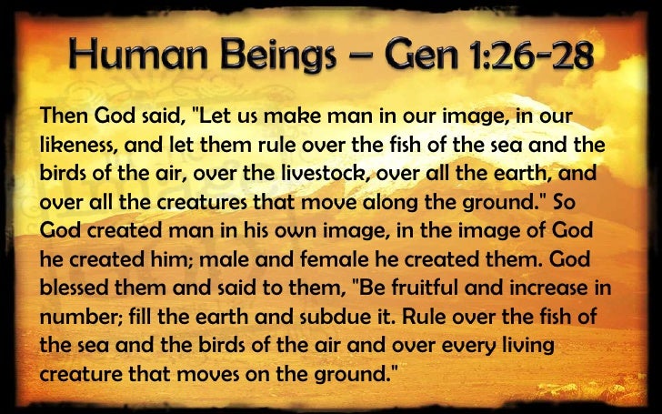 101010 ot vistas 02 in the image of god genesis 1