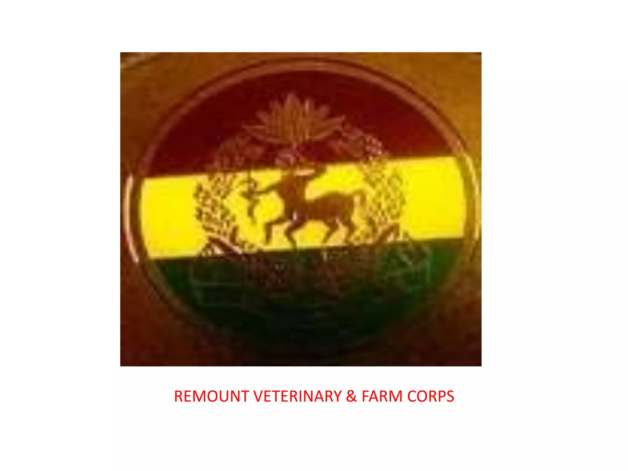 RVFC | PPTX | Veterinary Medicine | Pets