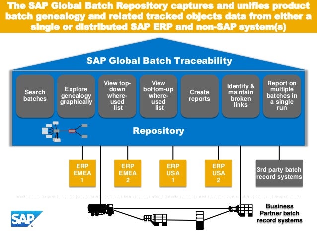 1010 introducing the new sap global batch traceability gbt key to man…