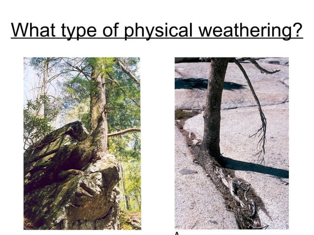 10 10 types of weathering | PPT | Chemistry | Science
