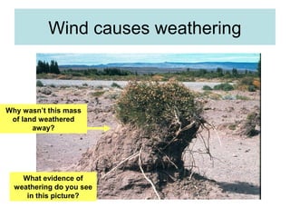 10 10 types of weathering | PPT