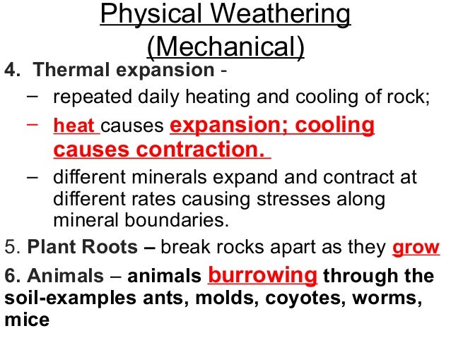 What Are 4 Types Of Mechanical Weathering