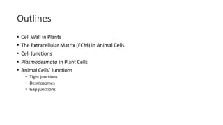 6 - A tour of the cell - Part Three | PPTX