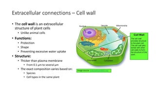 6 - A tour of the cell - Part Three | PPTX