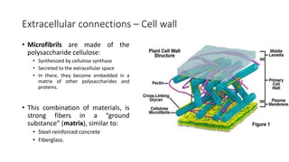 6 - A tour of the cell - Part Three | PPT