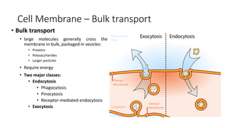 7 - Membrane Structue and Function | PDF