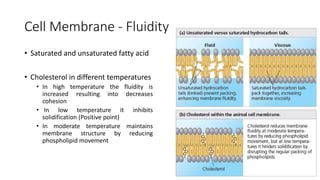 7 - Membrane Structue and Function | PDF | Chemistry | Science